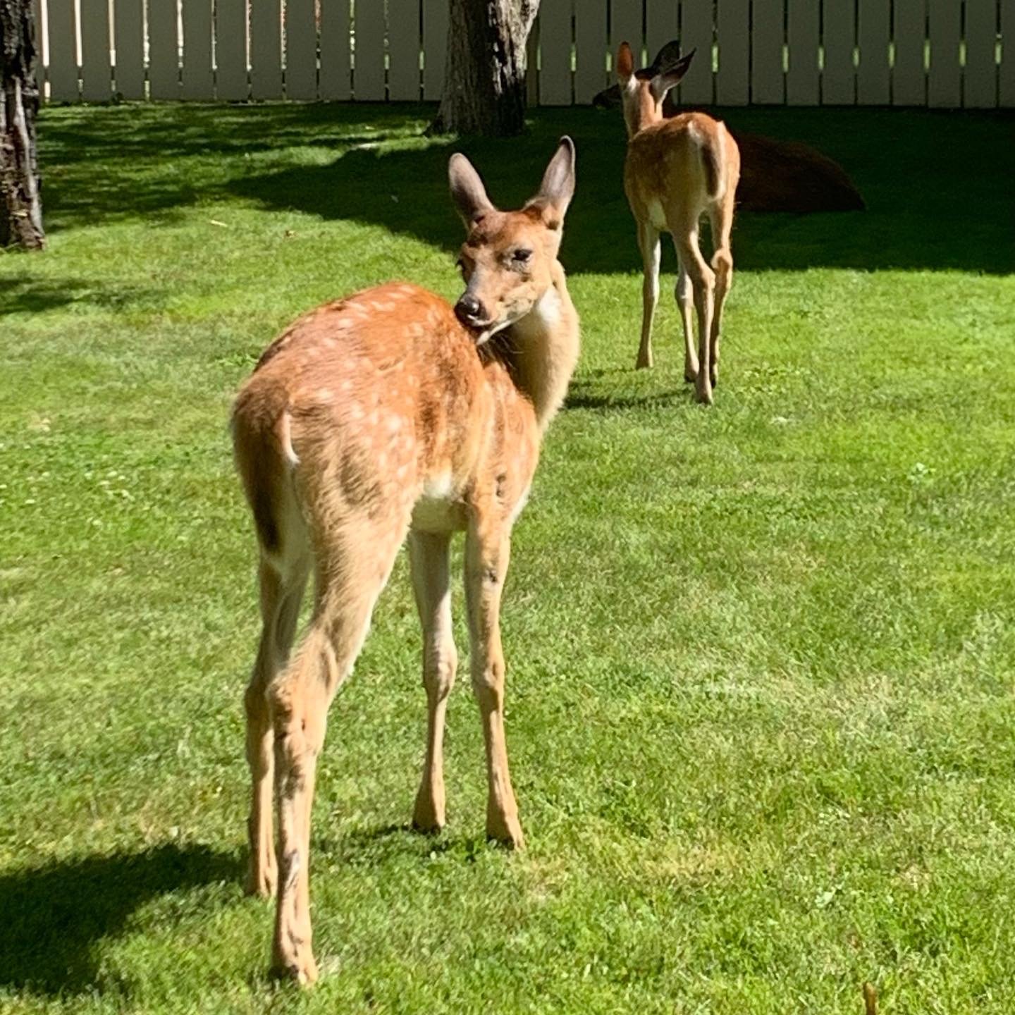 Taylor Clough | MFA Index