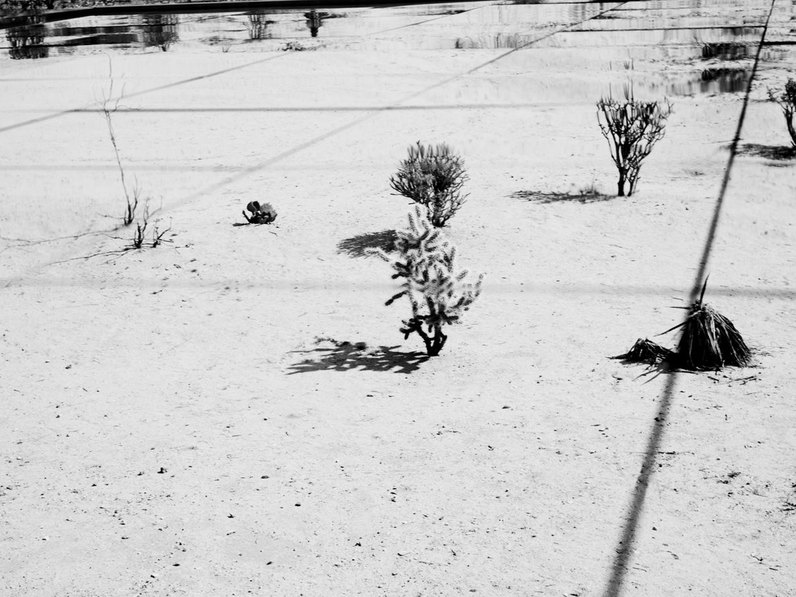 She Disappeared into Complete Silence | MONA KUHN