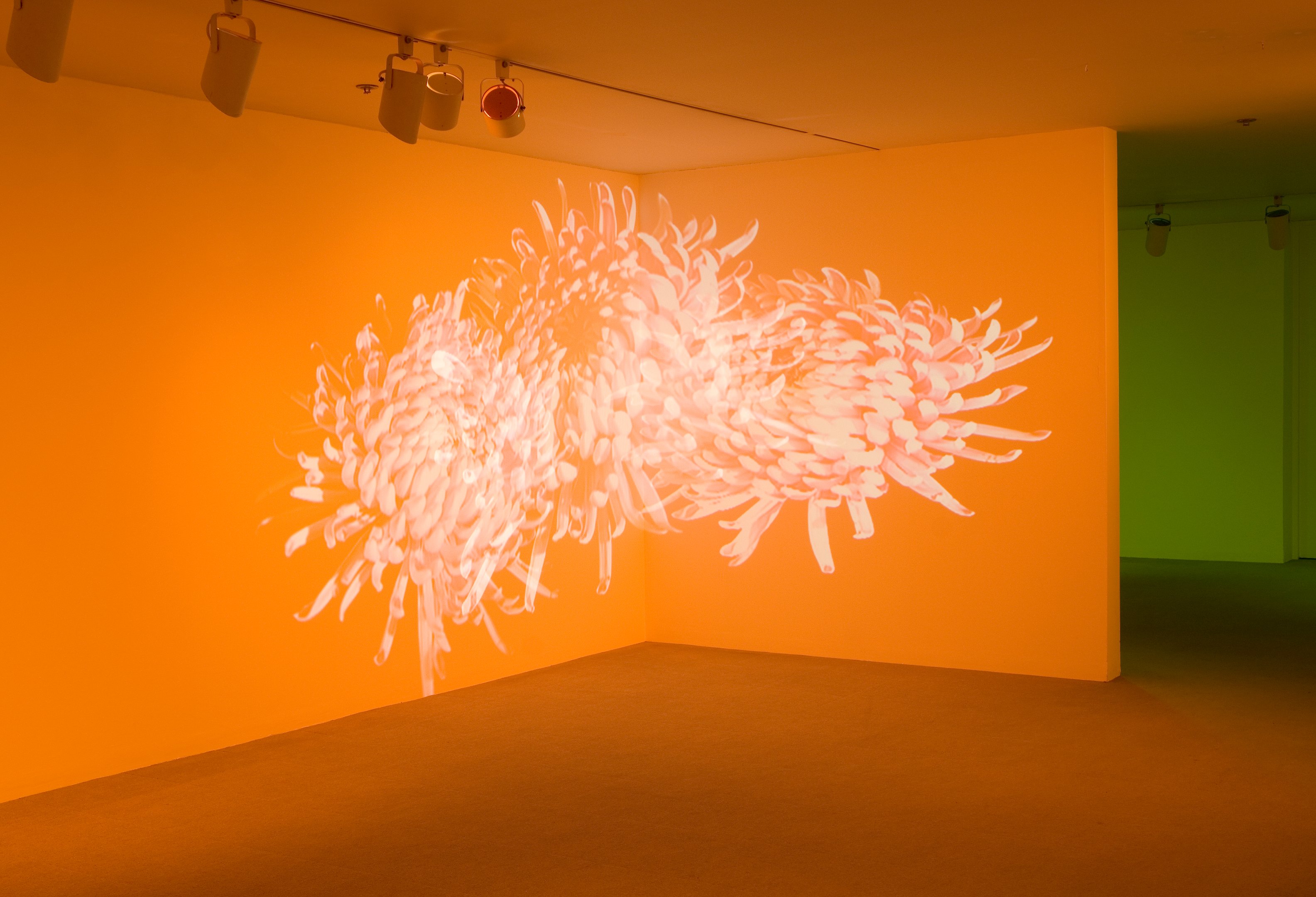 The Experience of Color: Ann Veronica Janssens & Diana Thater | DIANA ...