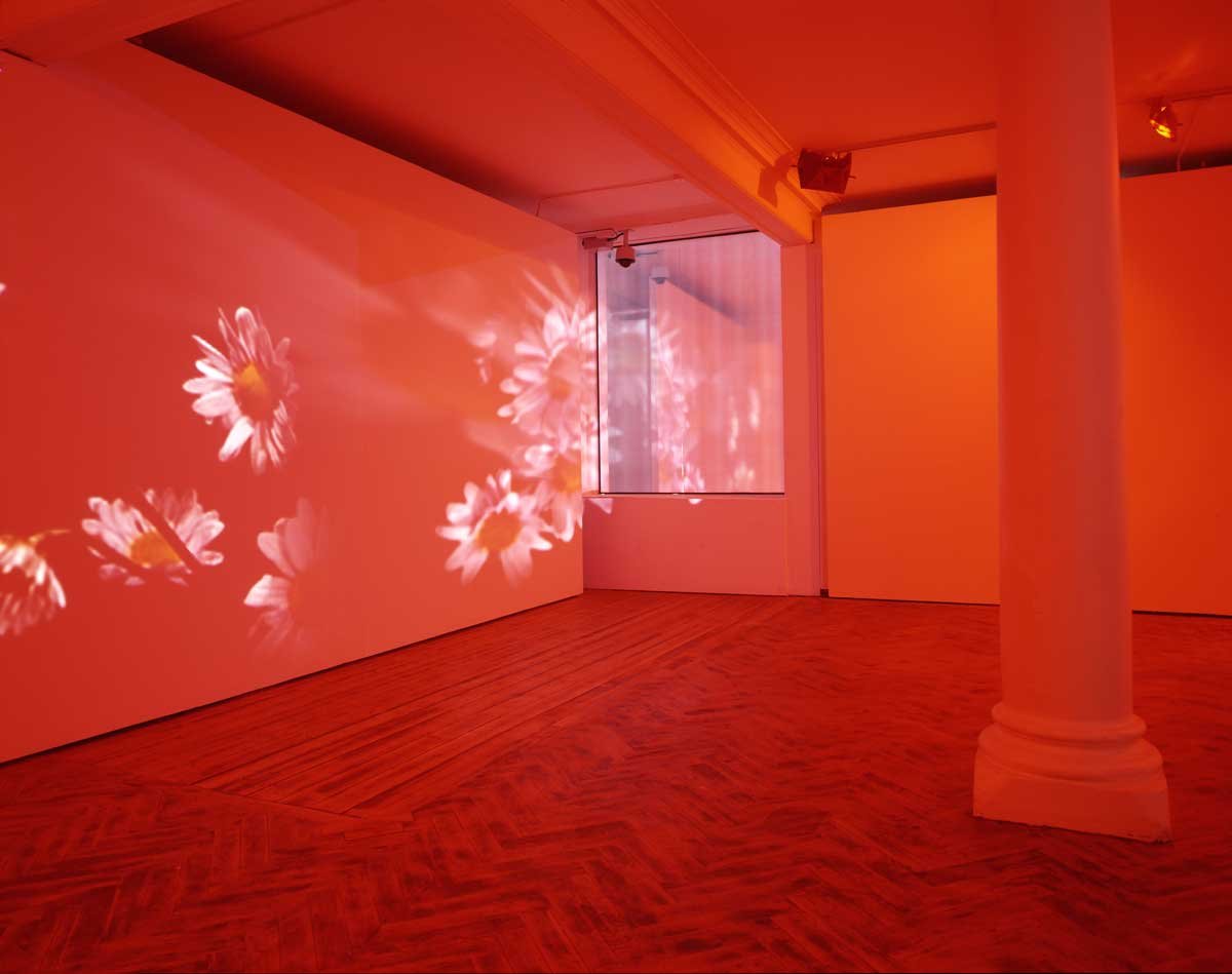 Transcedence is expansion and contraction at the same time | DIANA ...