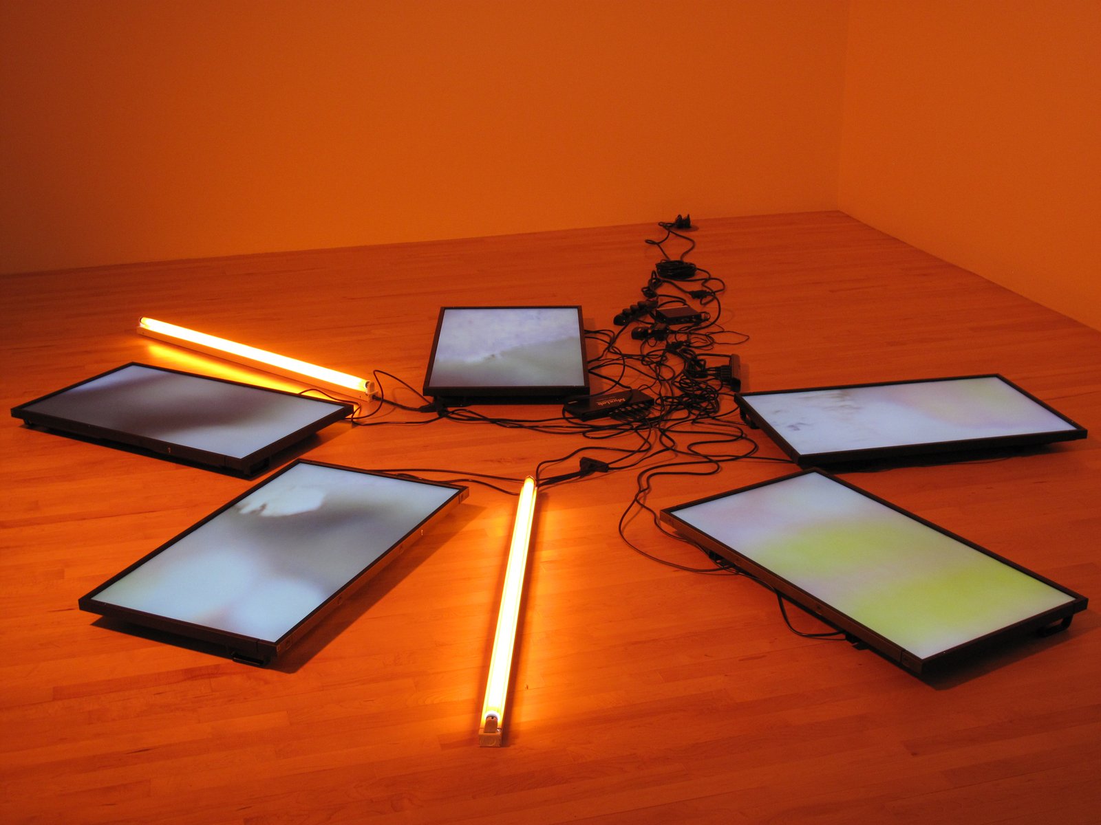 Indestructible Wonder | DIANA THATER STUDIO