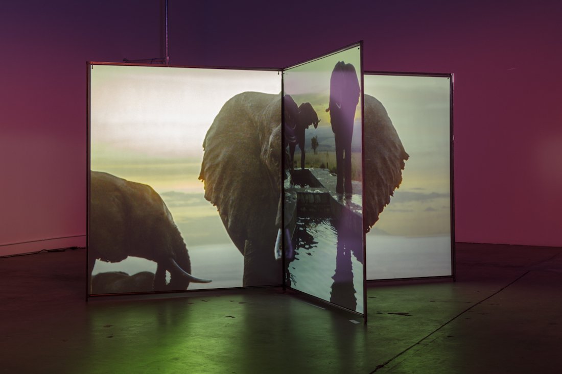 A Runaway World | DIANA THATER STUDIO