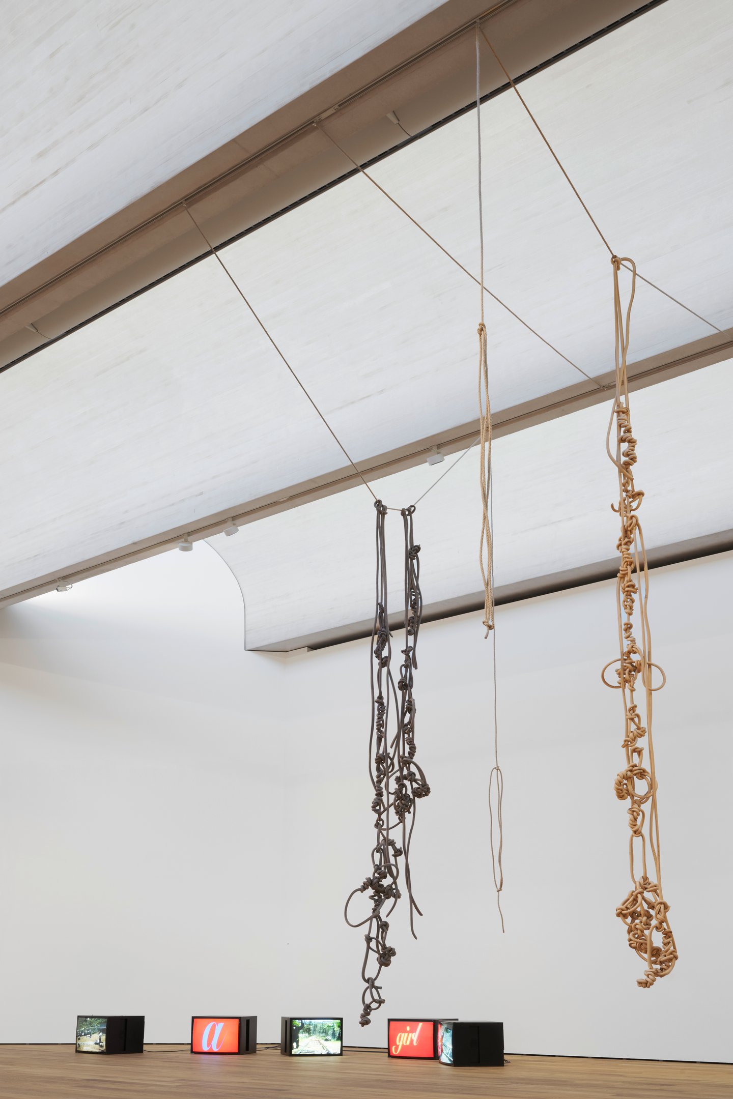 Exhibitions | DIANA THATER STUDIO