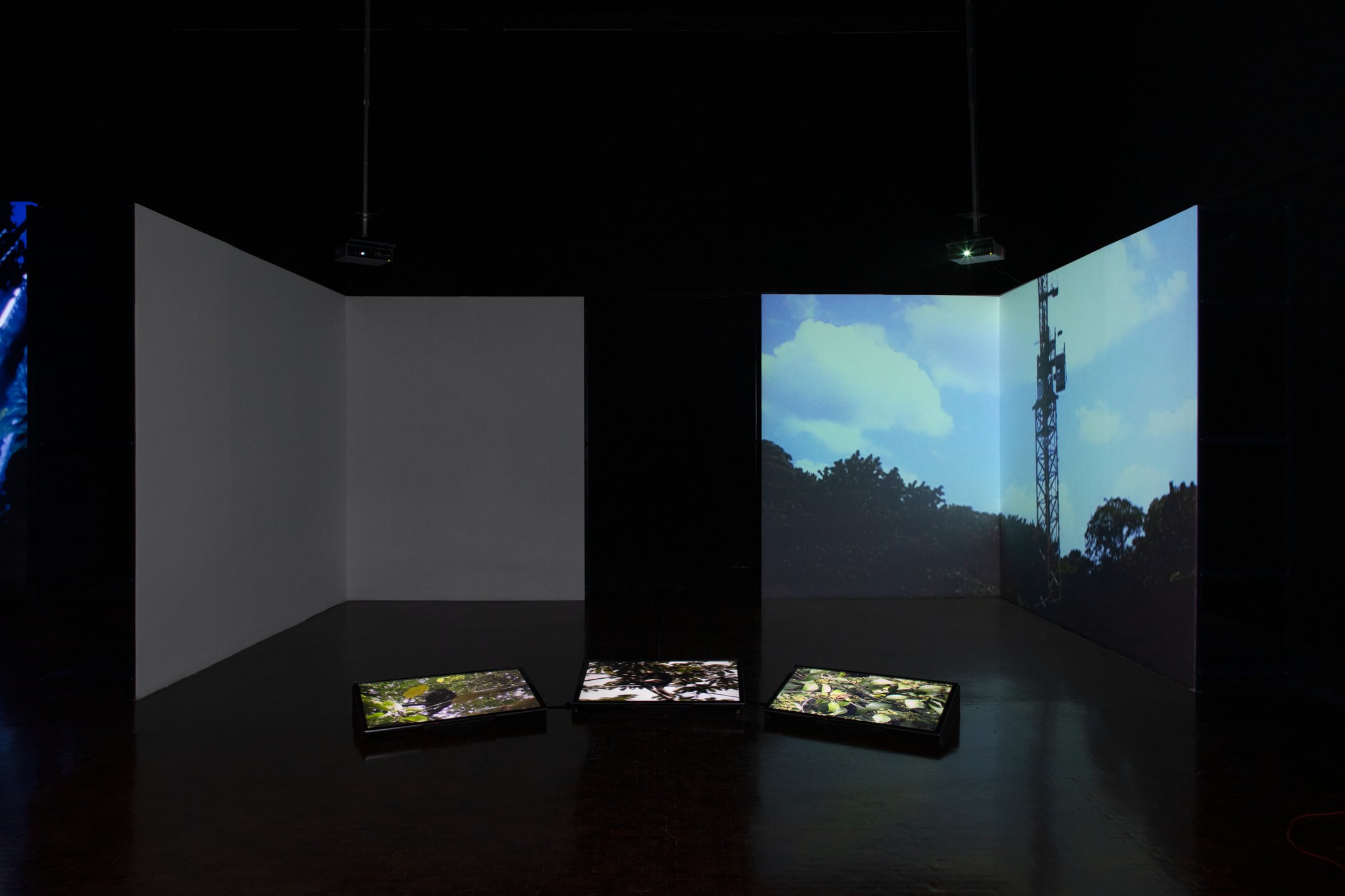 The Summer that Never Was (Videos from the CIAC Collection) | DIANA ...