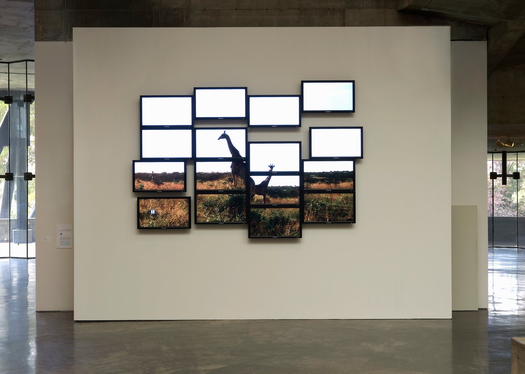 Human/Nature: Artists Respond to a Changing Planet | DIANA THATER STUDIO
