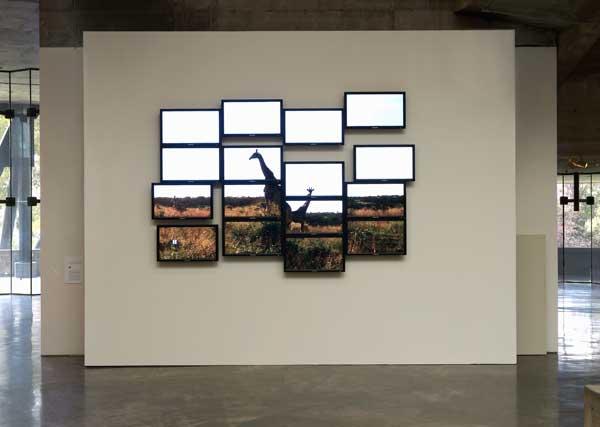 Human/Nature: Artists Respond to a Changing Planet | DIANA THATER STUDIO