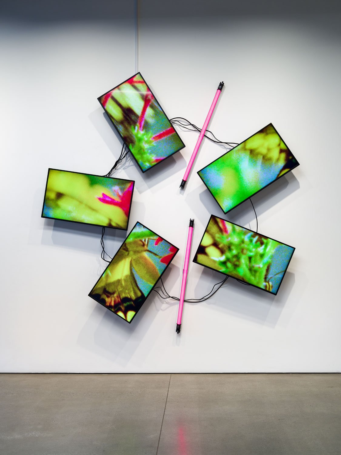 Natural History Two at ArtCenter | DIANA THATER STUDIO
