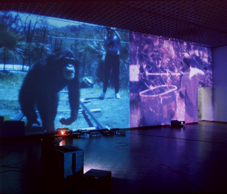 Electric Mind | DIANA THATER STUDIO