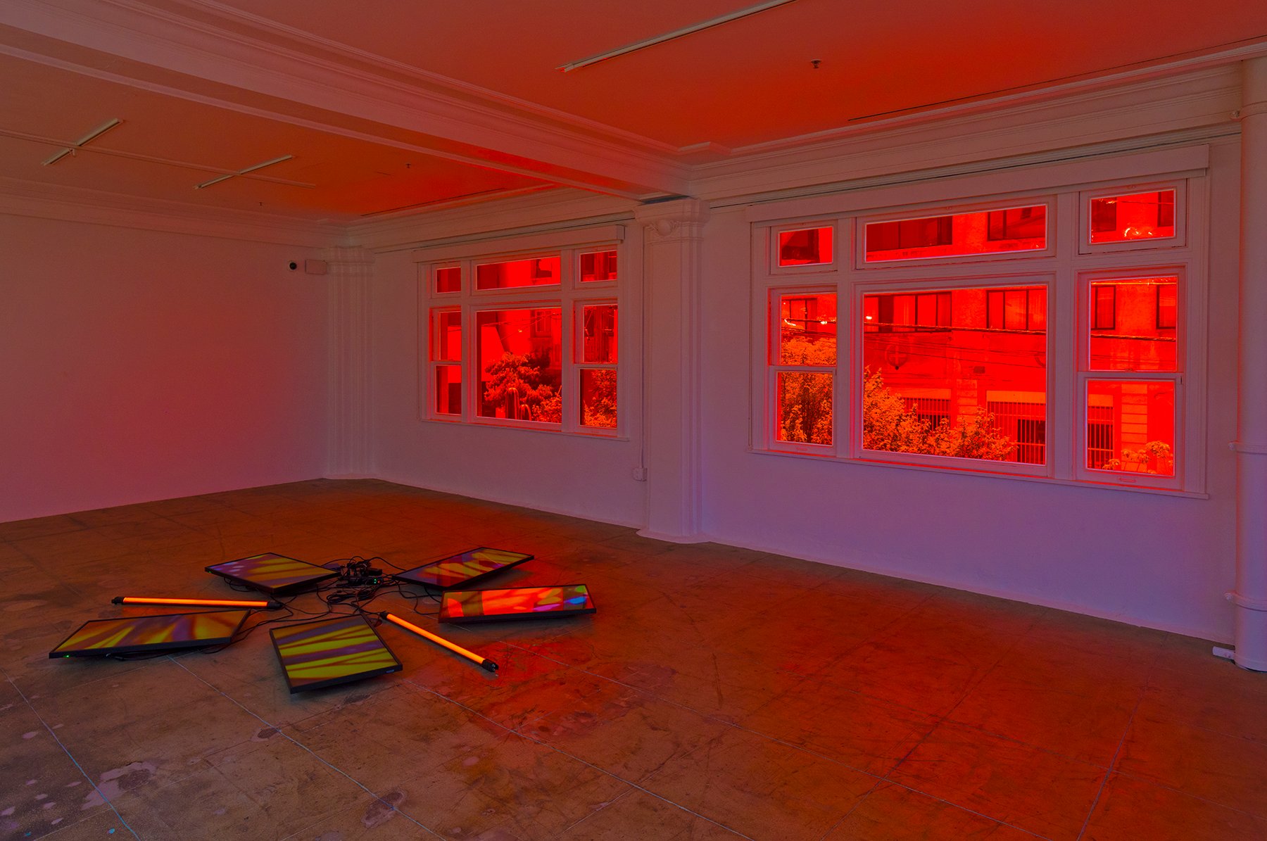 In Focus: LA Artists | DIANA THATER STUDIO