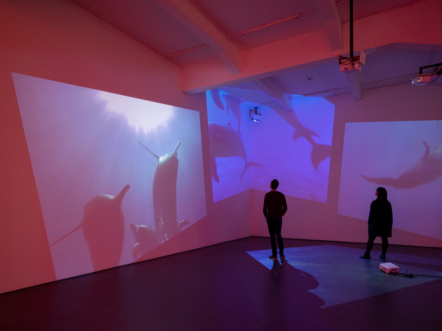 Installations from 25 Years of the Falckenberg Collection | DIANA ...