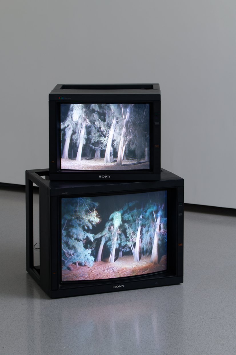 Chernobyl | DIANA THATER STUDIO
