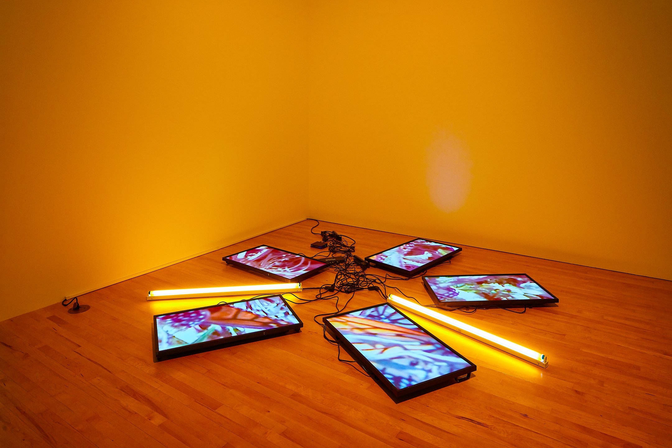 Almost Human: Digital Art from the Permanent Collection | DIANA THATER ...