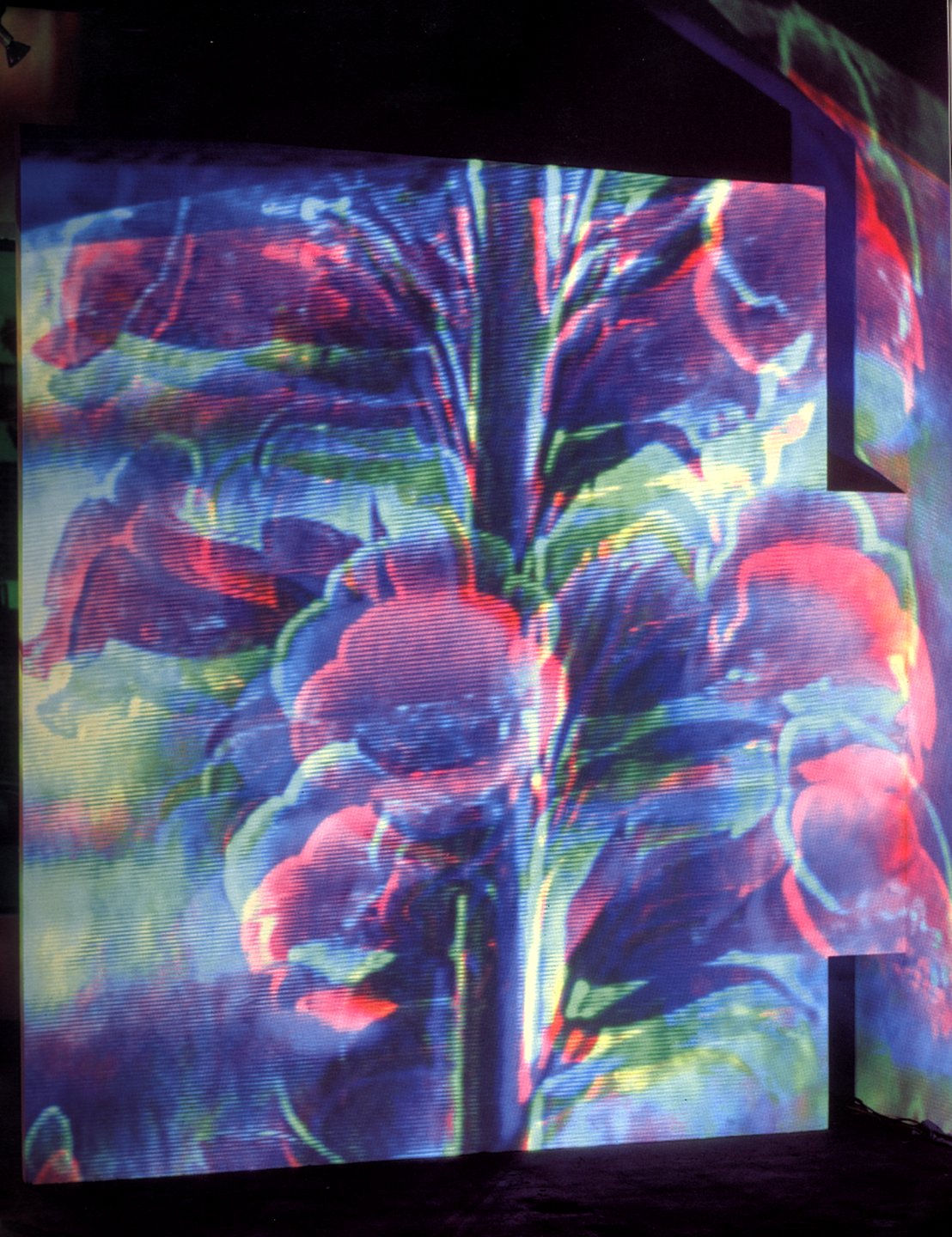 Beyond the Borders: Gwangju Biennale | DIANA THATER STUDIO