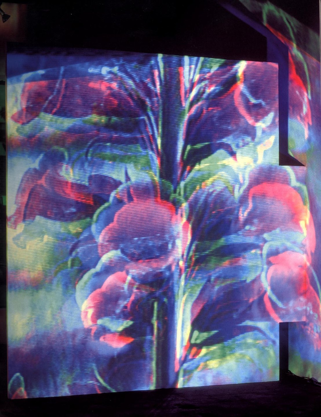 Jurassic Technologies Revenant: 10th Biennale Sydney | DIANA THATER STUDIO