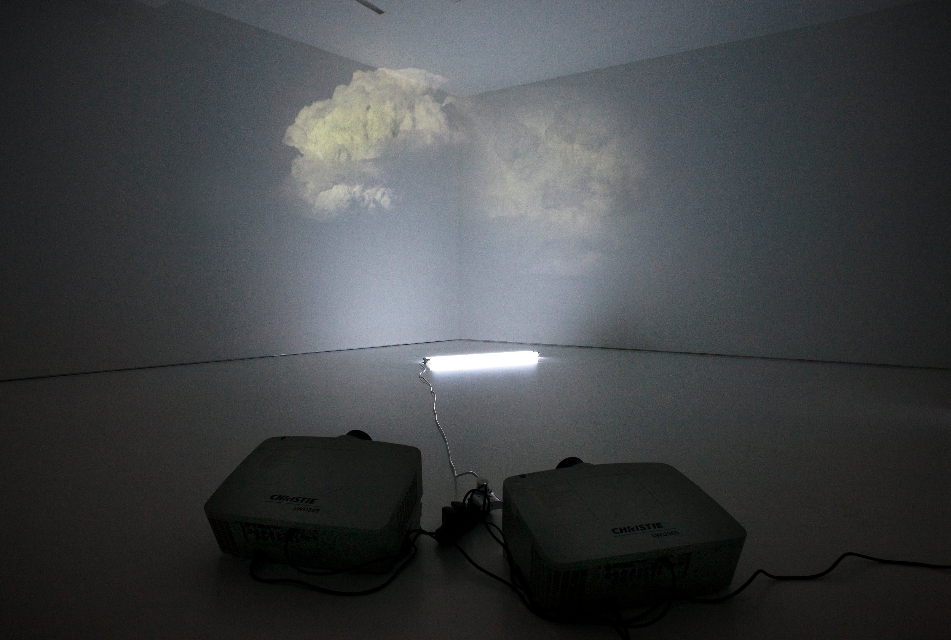 Diana Thater: A Runaway World | DIANA THATER STUDIO