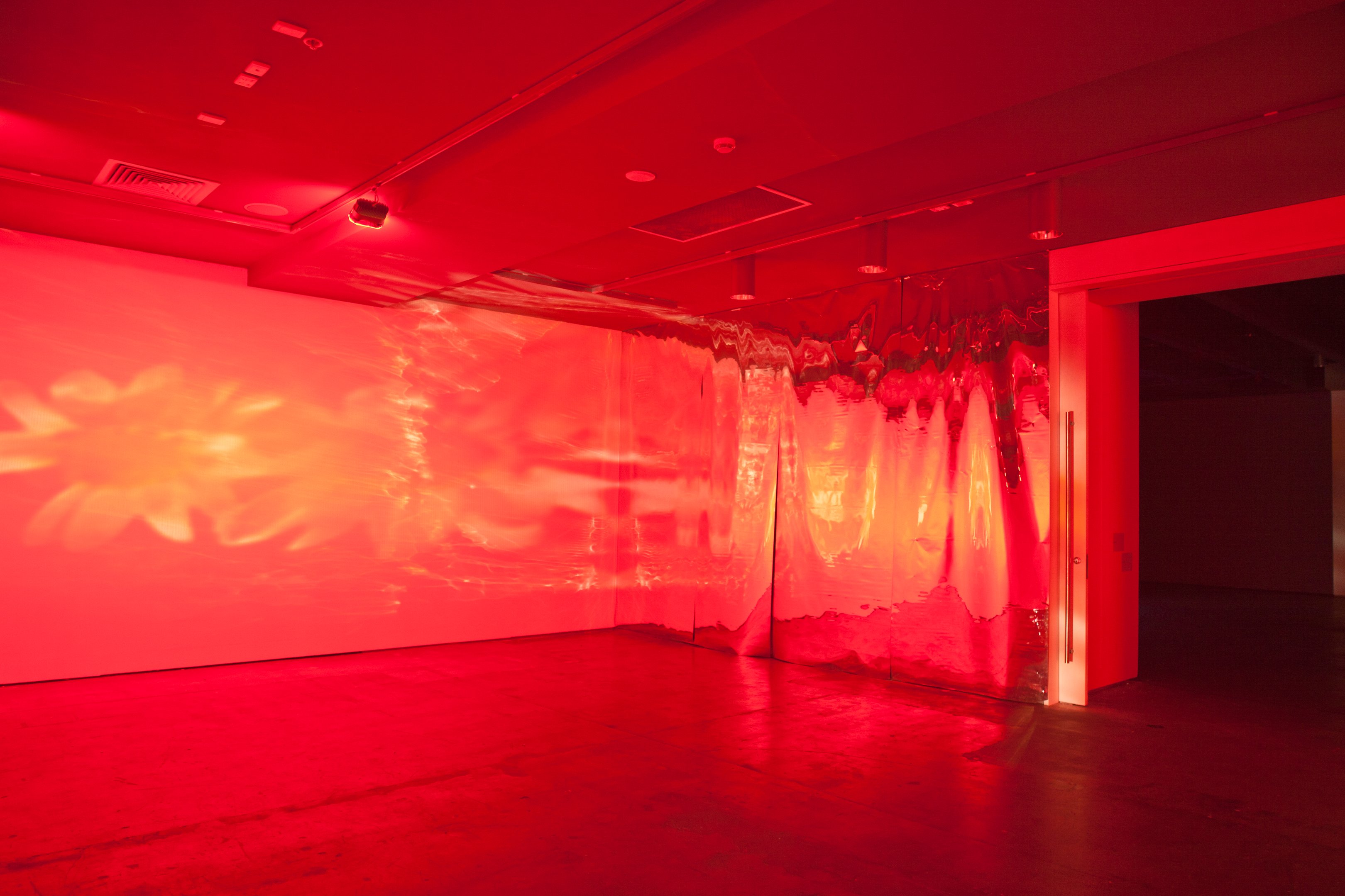 Diana Thater: Chernobyl | DIANA THATER STUDIO